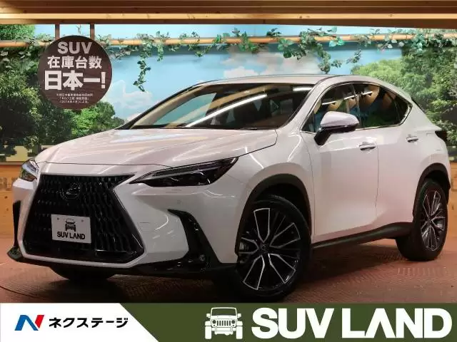 PHVのおすすめ車種12選！選ぶ魅力やHVなどとの違いも徹底解説｜中古車の【ネクステージ】